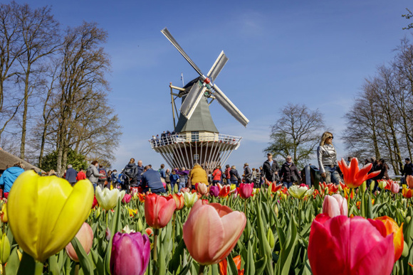 Discover Duinrell Holiday Park - Endless possibilities!