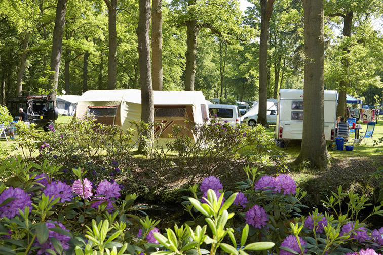Campsite Amsterdam - Duinrell.nl