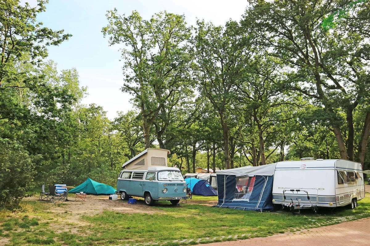 Duinvallei - Campsite - Holiday Park Duinrell